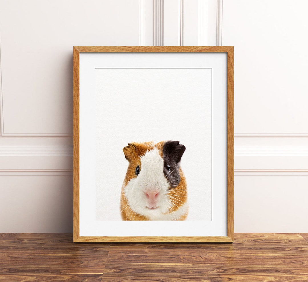 Guinea Pig Print, Nursery Wall Art, Baby Animal Prints, Kids Pet Art ...