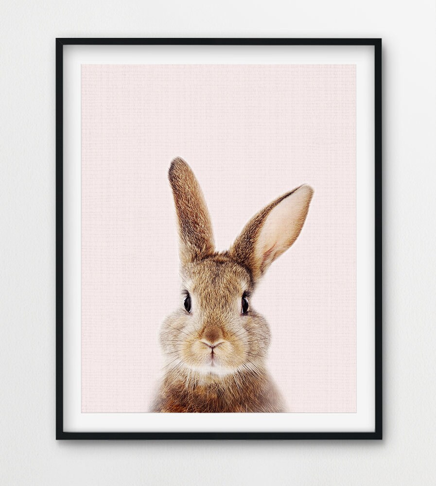 Rabbit Print Set of 2 Bunny Prints Pink Nursery Wall Art | Etsy
