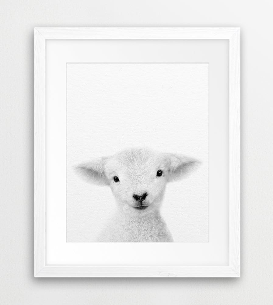 Lamb Print Nursery Wall Art Little Lamb Art Farm Animal - Etsy