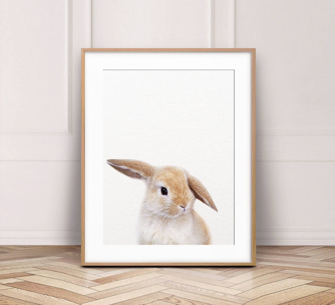 Bunny Print, Nursery Decor, Rabbit Print, Baby Animal Prints, Nursery ...