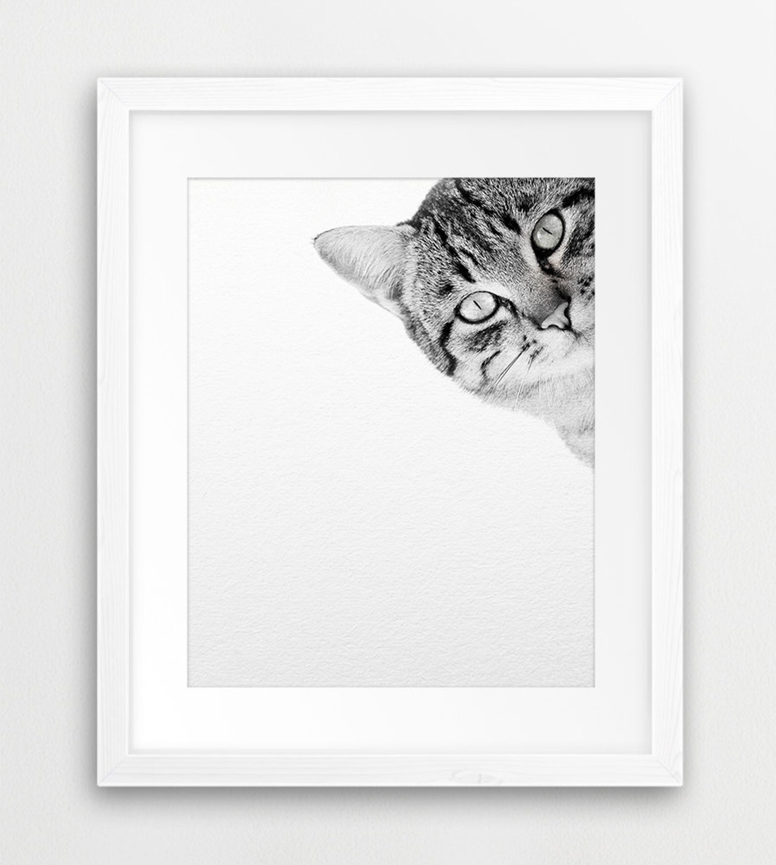Cat Print Cat Photography Black And White Grey Wall Art | Etsy
