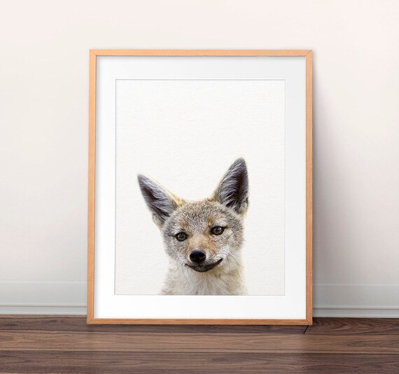 Coyote Print Coyote Cub Baby Coyote Woodland Animal Prints | Etsy
