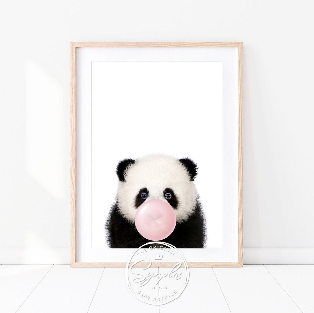 Baby Panda With Bubble Gum, Panda Bear Blowing Bubble Gum, Nursery ...