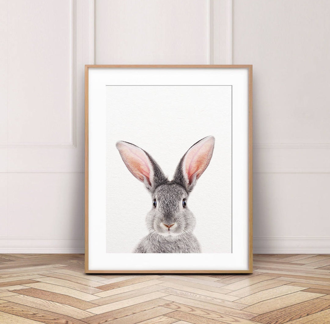 Rabbit Print, Woodland Nursery Decor, Rabbit Photo, Bunny Rabbit ...