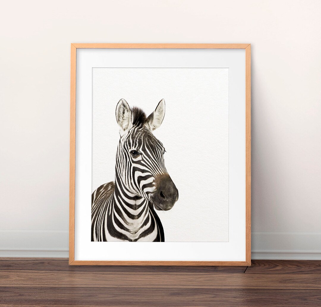 Zebra Print, Zebra Photo, Safari Animal Prints, Nursery Wall Art ...