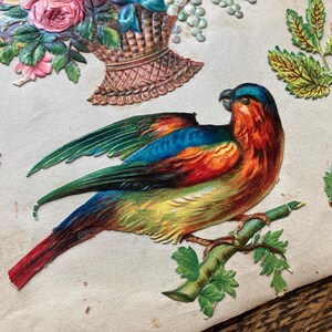 Birds Roses Flower Baskets Floral~scrapbook Page From Antique Victorian ...