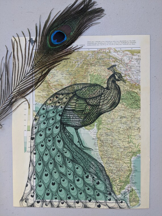 Peacock on Map of India Peacock Art Map Art Bird Wall Art - Etsy
