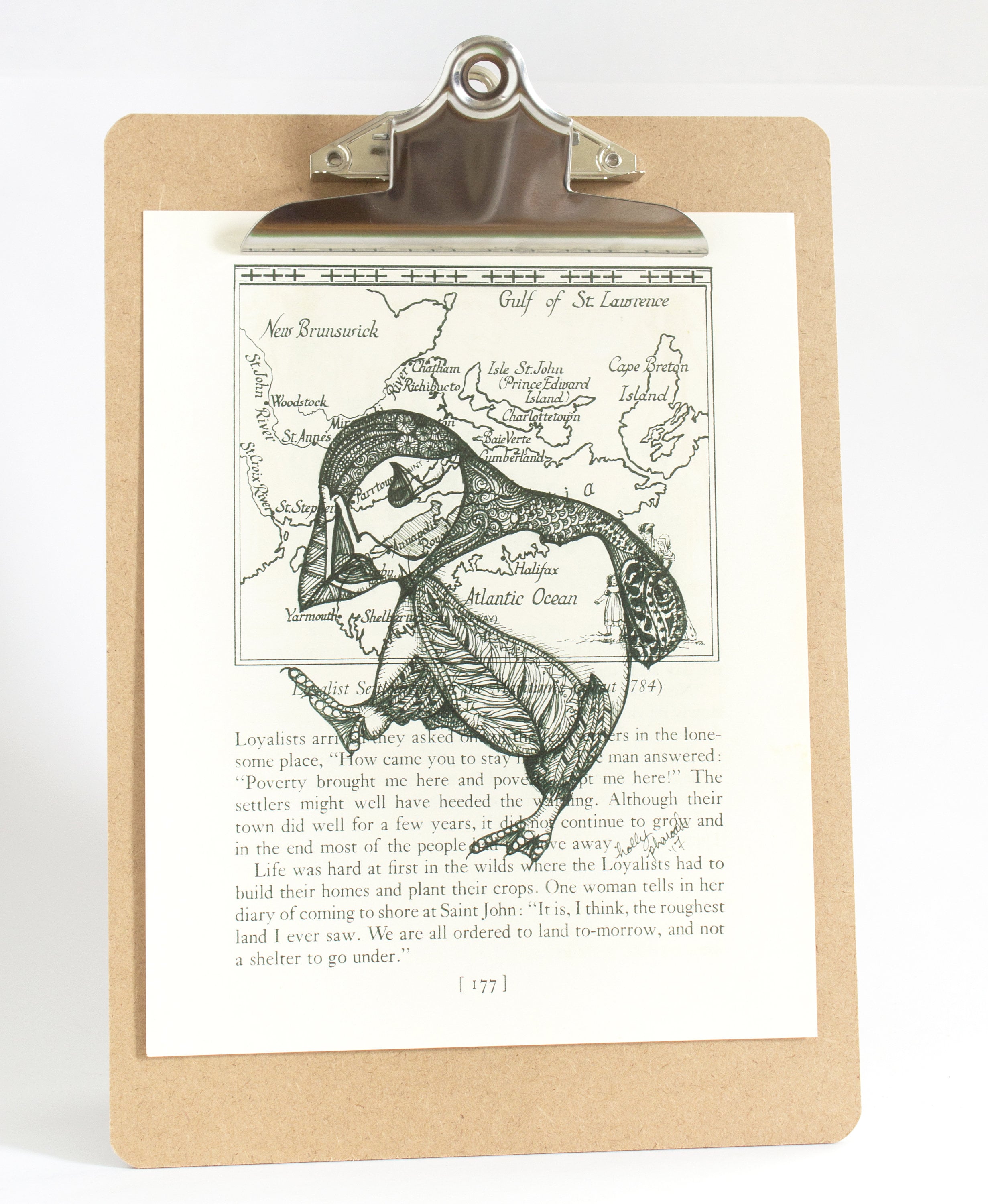 Puffin Art Art Print Map Art Puffin on Maritimes Canadian | Etsy