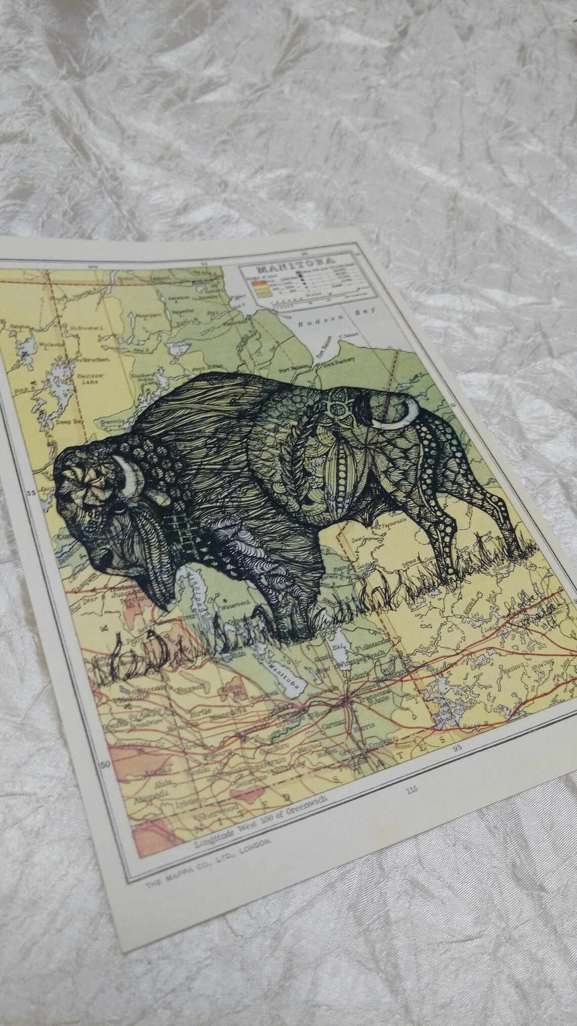 Manitoba Bison (bison Bison Bison) and Vintage Map, Prints of Original ...