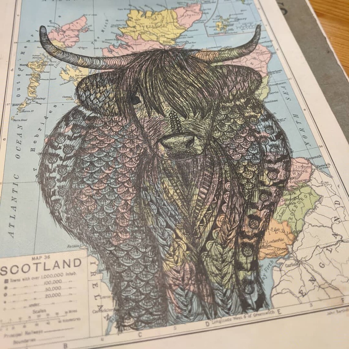 Highland Cow Scotland map hairy coo | Etsy