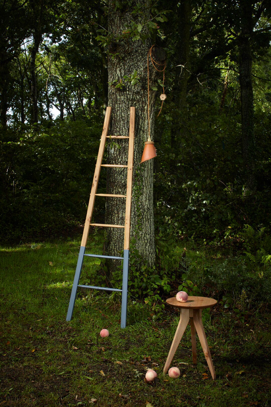 Leanup Clothes Ladder - Etsy