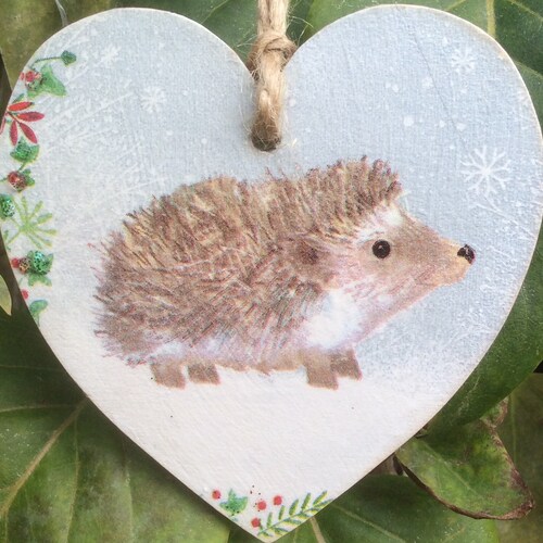 Sleeping Hedgehog in a Walnut Shell Needle Felted Hedgehog | Etsy UK
