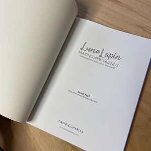 Luna Lapin Making New Friends by Sarah Peel - Sewing Book - Pattern ...