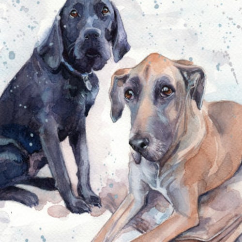 Original Hand Portrait Custom Two Dogs Portrait Double Pet - Etsy