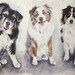 Multi Custom Dog Pet Portrait From Photo Original Watercolor - Etsy