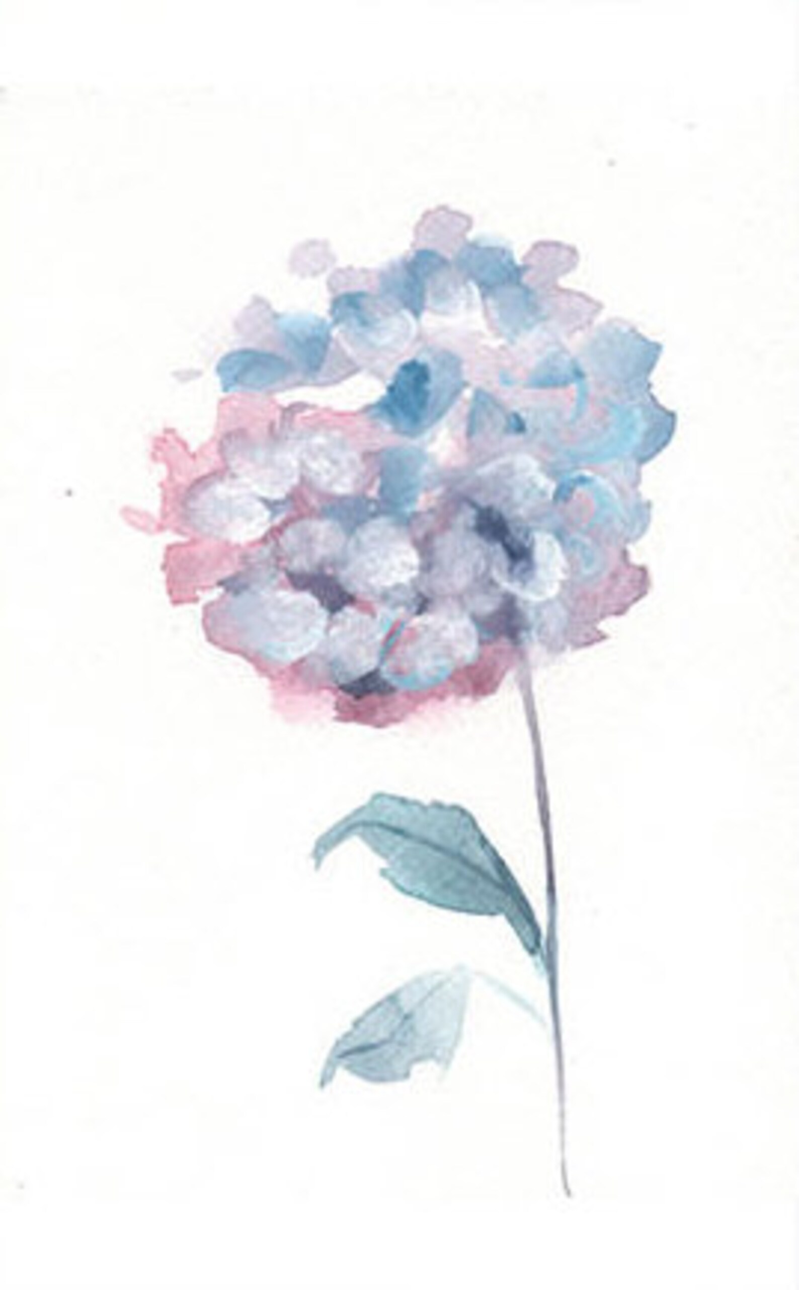 Hydrangea Print Abstract Art Watercolor Print Set of 3 Flower | Etsy