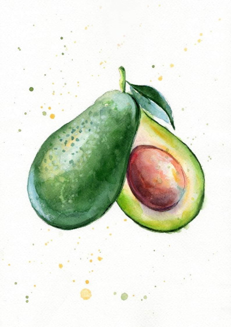 Set of 4 Avocado Watercolor Print Painting Illustration - Etsy