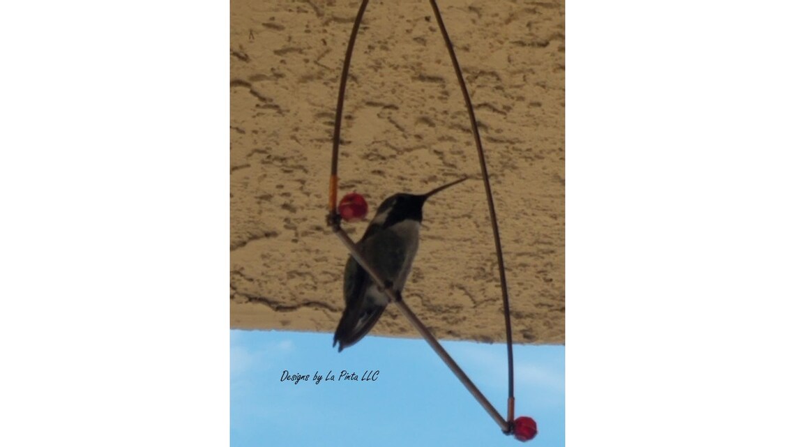 Copper Hummingbird Swing or Hummingbird Perch W/hook Bird | Etsy