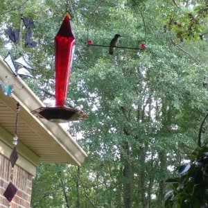 Copper Hummingbird Swing or Hummingbird Perch W/hook, Bird Perch, Red ...