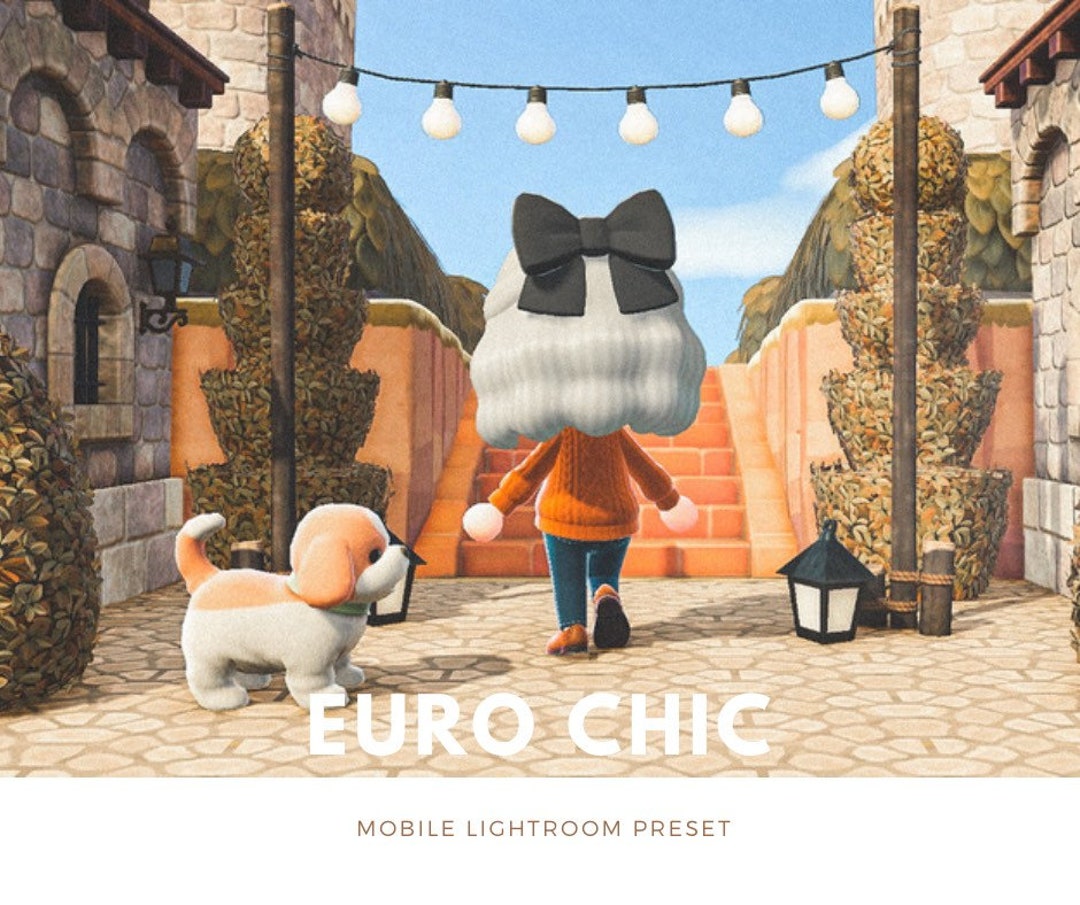 Euro Chic ACNH Mobile Lightroom Preset - Etsy