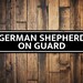German Shepherd On Guard Sign Personalized Pet Breed Sign | Etsy