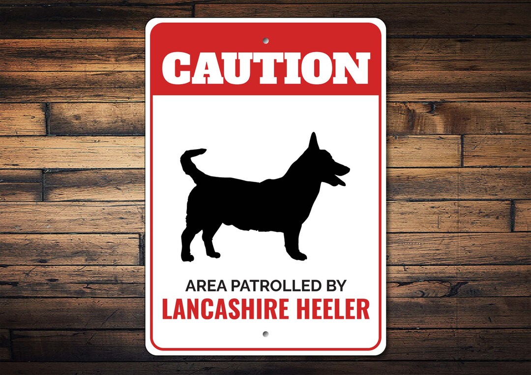 Lancashire Heeler Dog Sign, Caution Dog Sign, Heeler Lover, Dog Breed ...