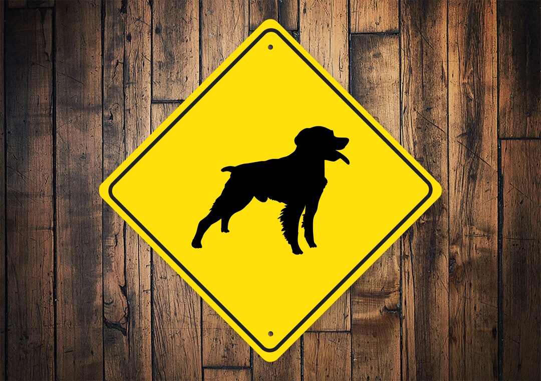 Brittany Dog Sign, Custom Dog Sign, Brittany Gift, Brittany Dog Owner ...