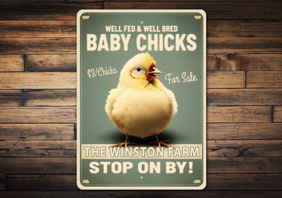 Baby Chicken Sold Sign, Baby Chicken Sold Here, Farmhouse Decor, Custom ...