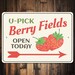 U-pick Sign Berry Fields Sign Strawberry Decor Strawberry | Etsy
