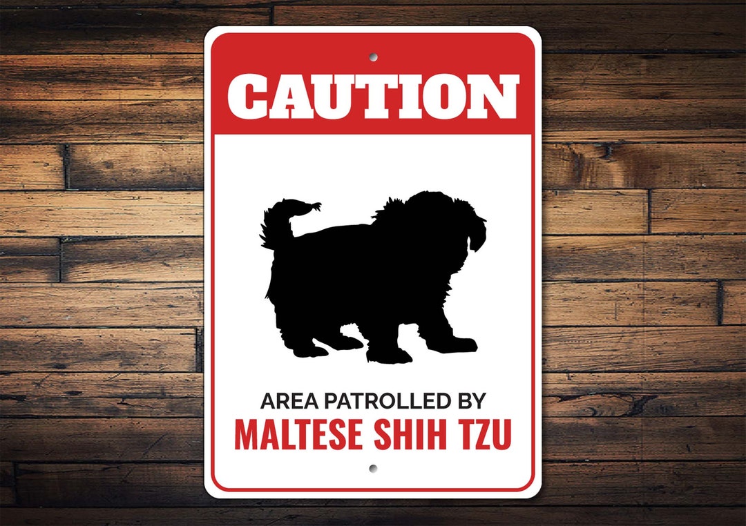 Maltese Shih Tzu Dog Sign, Caution Dog Sign, Shih Tzu Lover, Dog Breed ...