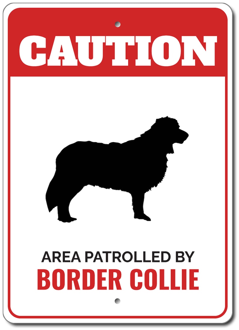 Border Collie Sign, Border Collie Decor, Border Collie Gift, Gate Dog ...