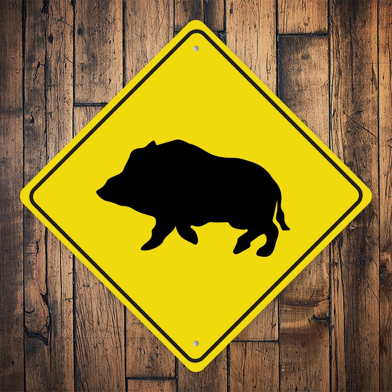 Wild Hog - Etsy