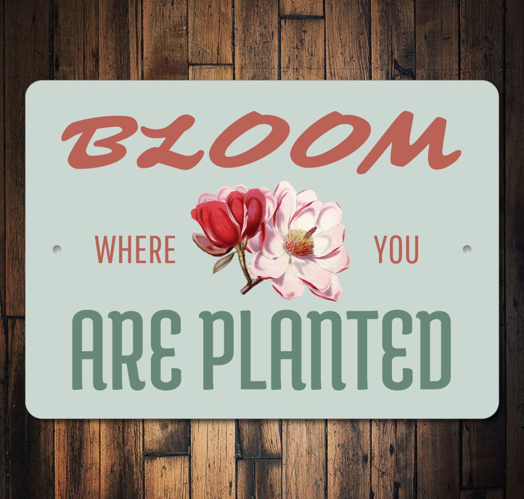 Bloom Where You Are Planted Sign, Flower Decor, Flower Garden Sign ...