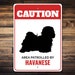 Havanese Dog Sign, Caution Dog Sign, Havanese Lover, Dog Breed Signs ...