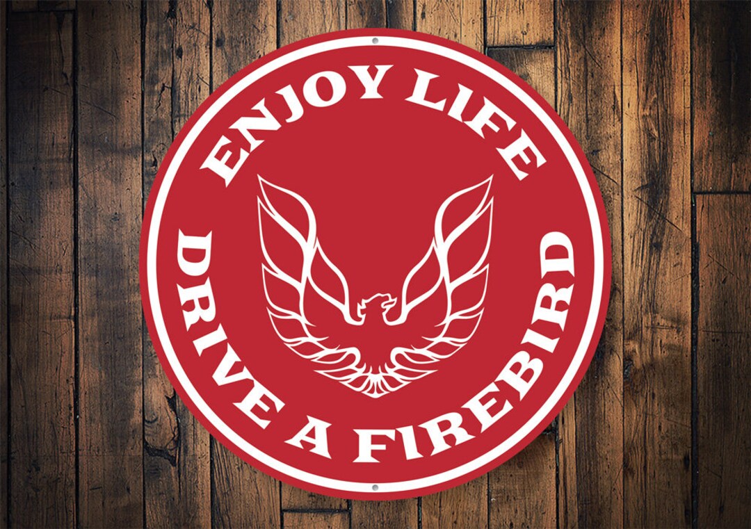 Drive A Firebird, Firebird Owner, Firebird Car Garage, Garage for ...