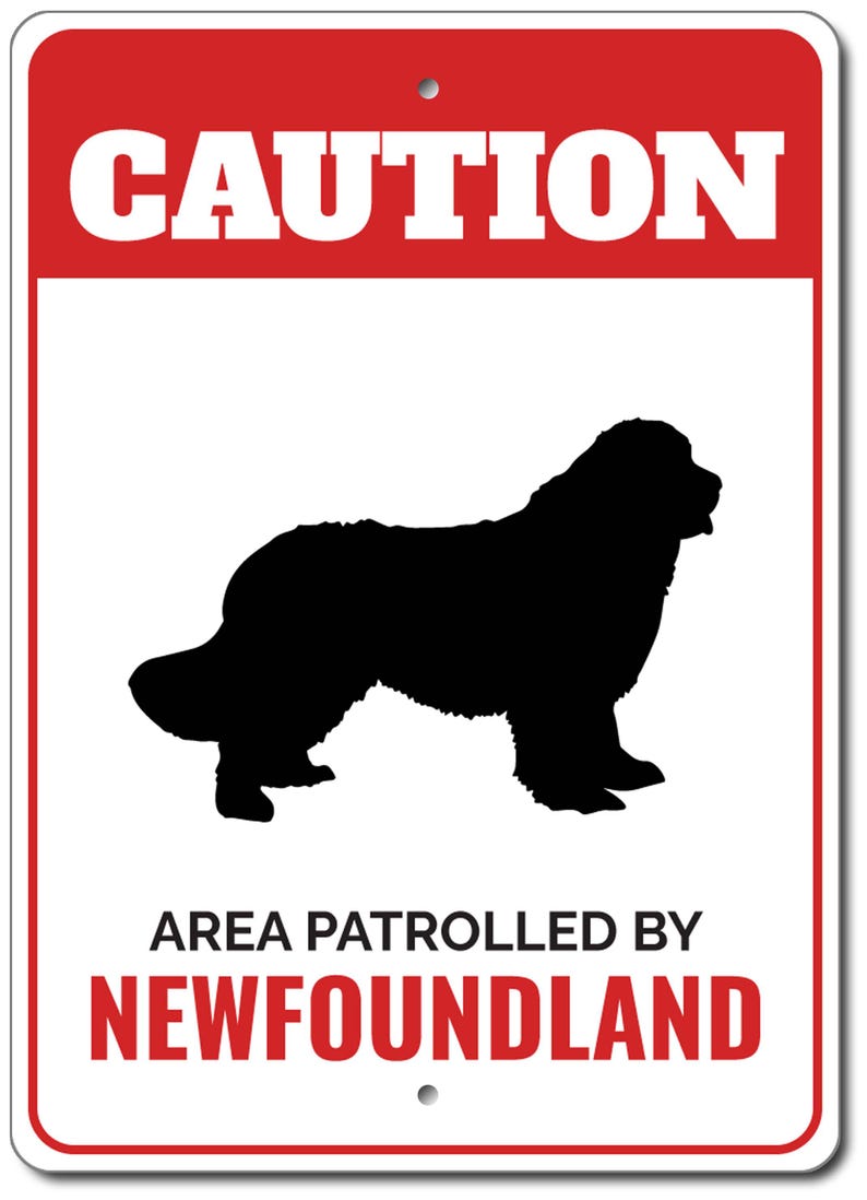 Newfoundland Dog Sign, Caution Dog Sign, Newfoundland Lover, Dog Breed ...