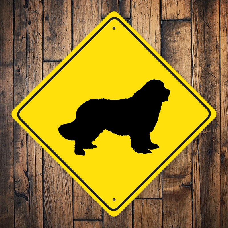 Newfoundland Dog - Etsy