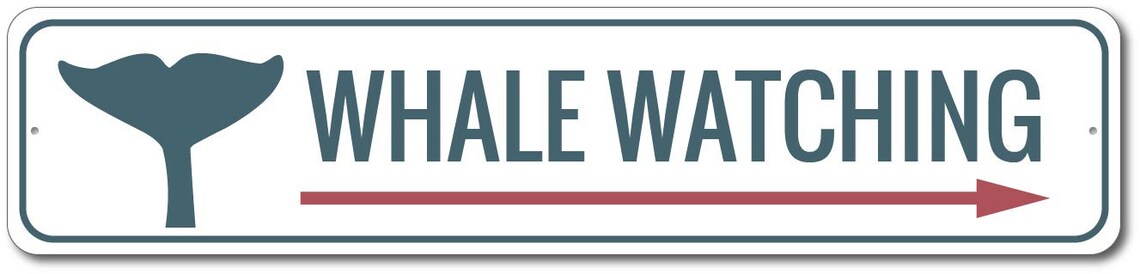 Whale Watching Sign Whale Decor Whale Sign Whale Lover | Etsy