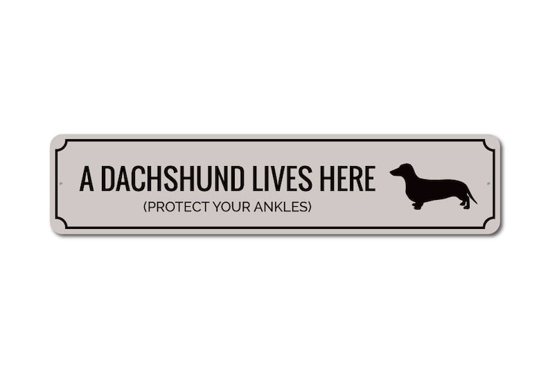 Funny Dachshund Sign Dachshund Humor Gift Dachshund Decor - Etsy