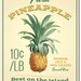 Pineapple Sign, Pineapple Decor, Fresh Fruit Sign, Pineapple Lover Gift ...