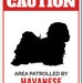 Havanese Dog Sign, Caution Dog Sign, Havanese Lover, Dog Breed Signs ...