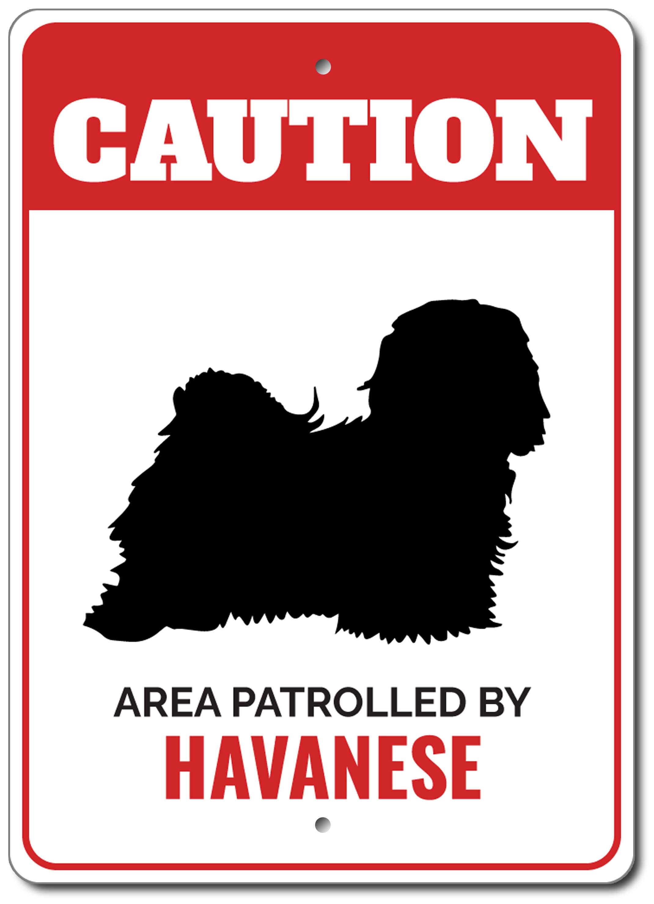 Havanese Dog Sign Caution Dog Sign Havanese Lover Dog Breed - Etsy
