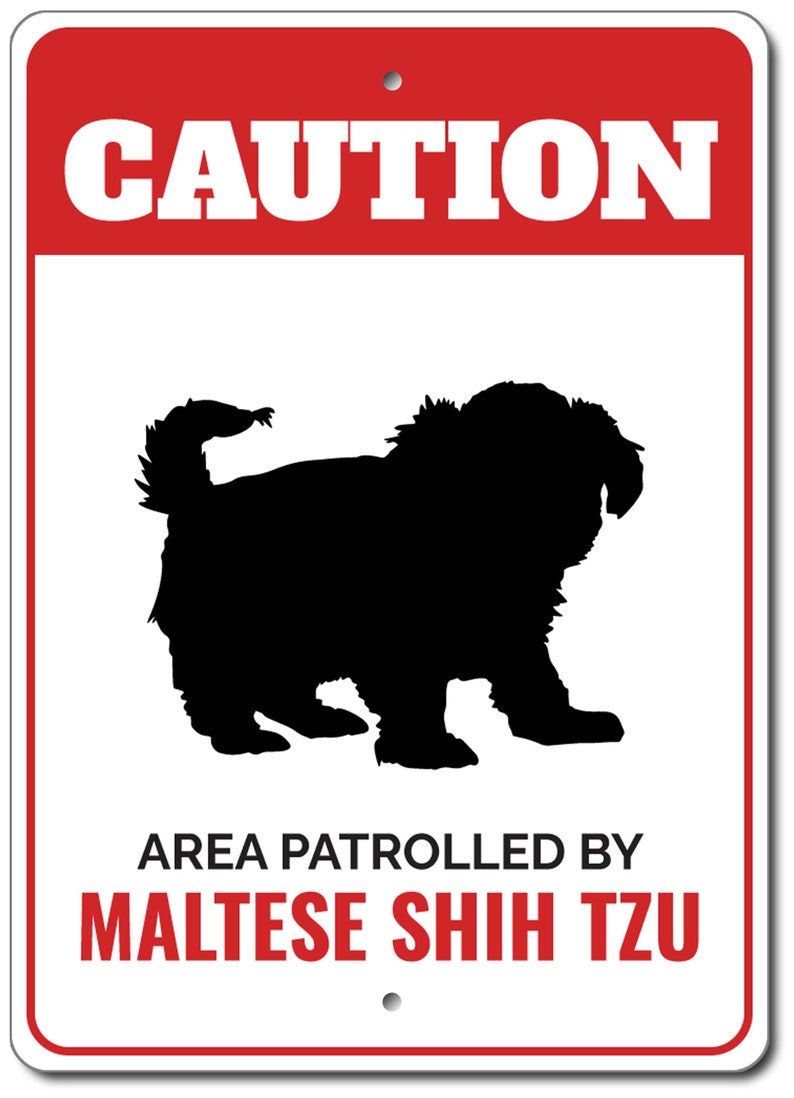 Maltese Shih Tzu Dog Sign, Caution Dog Sign, Shih Tzu Lover, Dog Breed ...