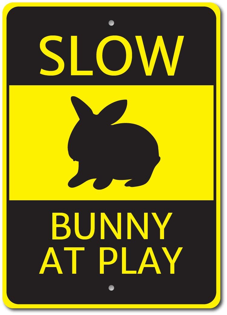 Bunny at Play Sign Bunny Gift Bunny Decor Bunny Owners - Etsy