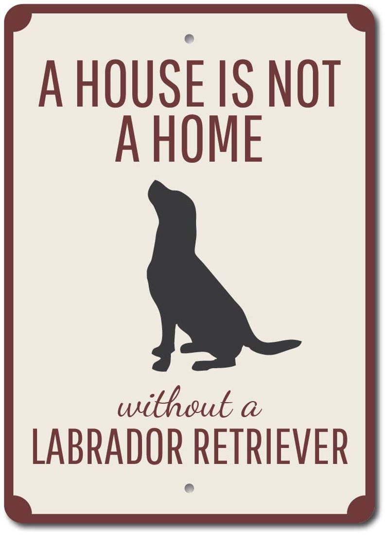 Lab Sign Lab Gift Lab Owner Gift Lab Decor Lab Owner Sign | Etsy