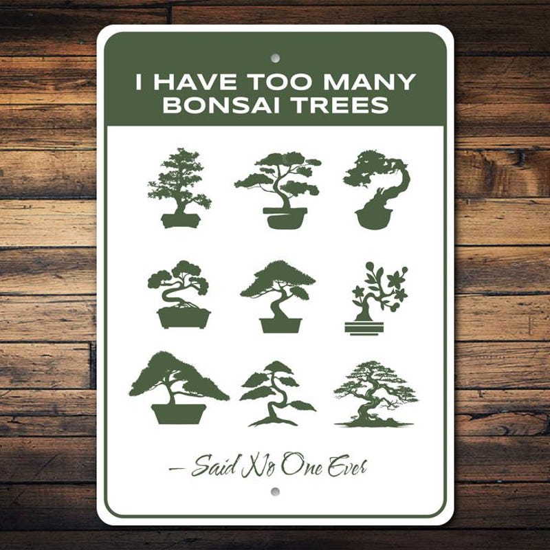 Bonsai - Etsy