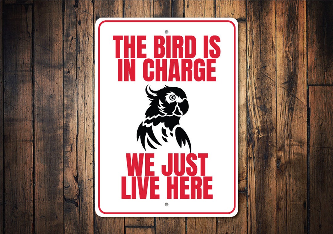 Parrot in Charge, Parrot Owner Sign, Parrot Decor Sign, Parrot Home ...