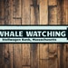 Whale Sign, Personalized Whale Watching Sign, Custom Beach Location ...
