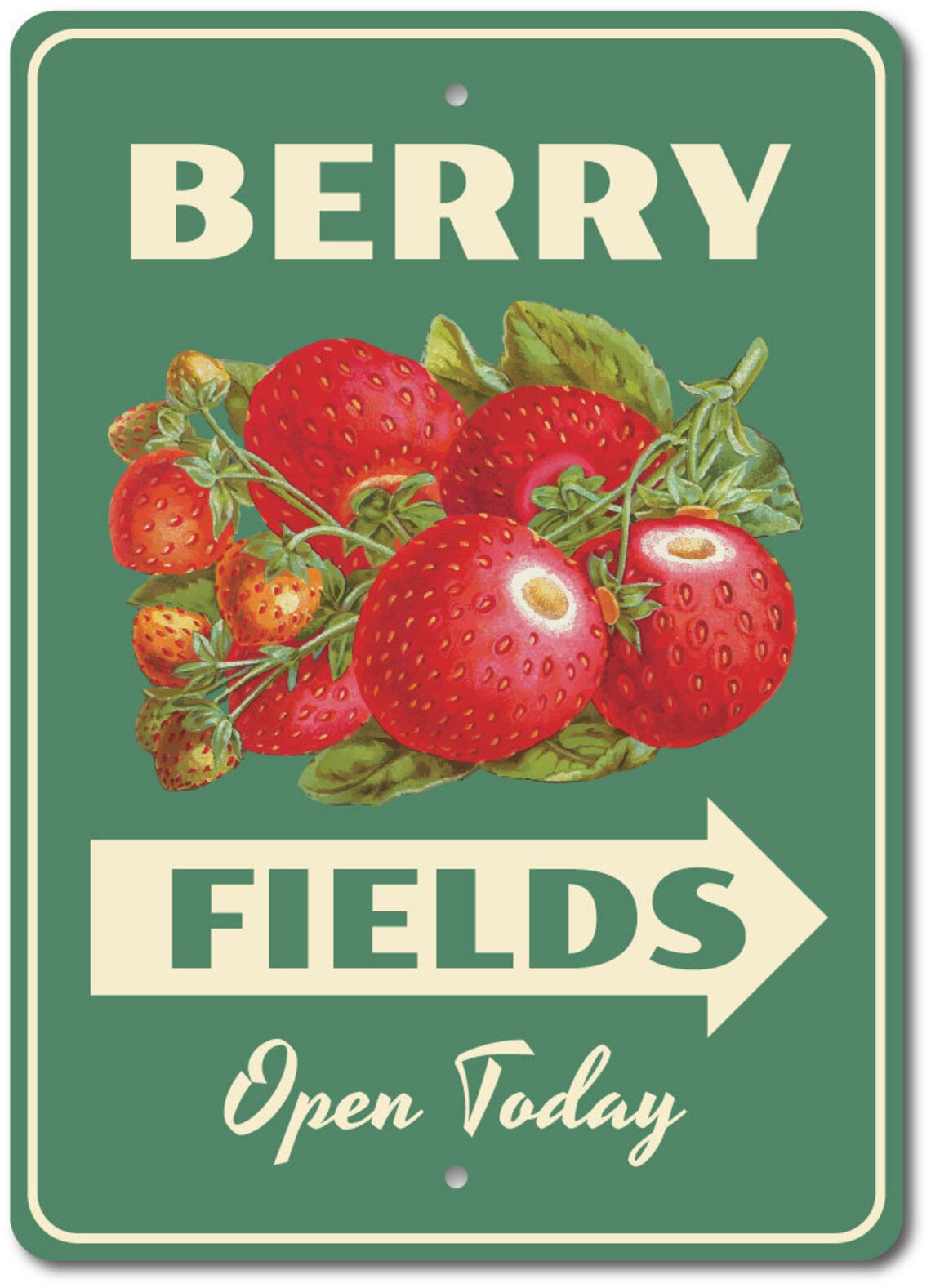 Berry Fields Sign Berry Lover Gift Berry Farm Decor - Etsy