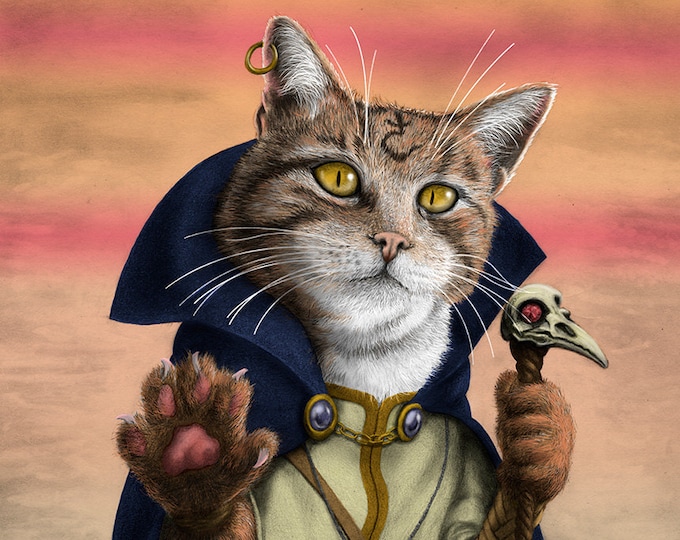 Fantasy Cat Hero Sorcerer Cat - Etsy